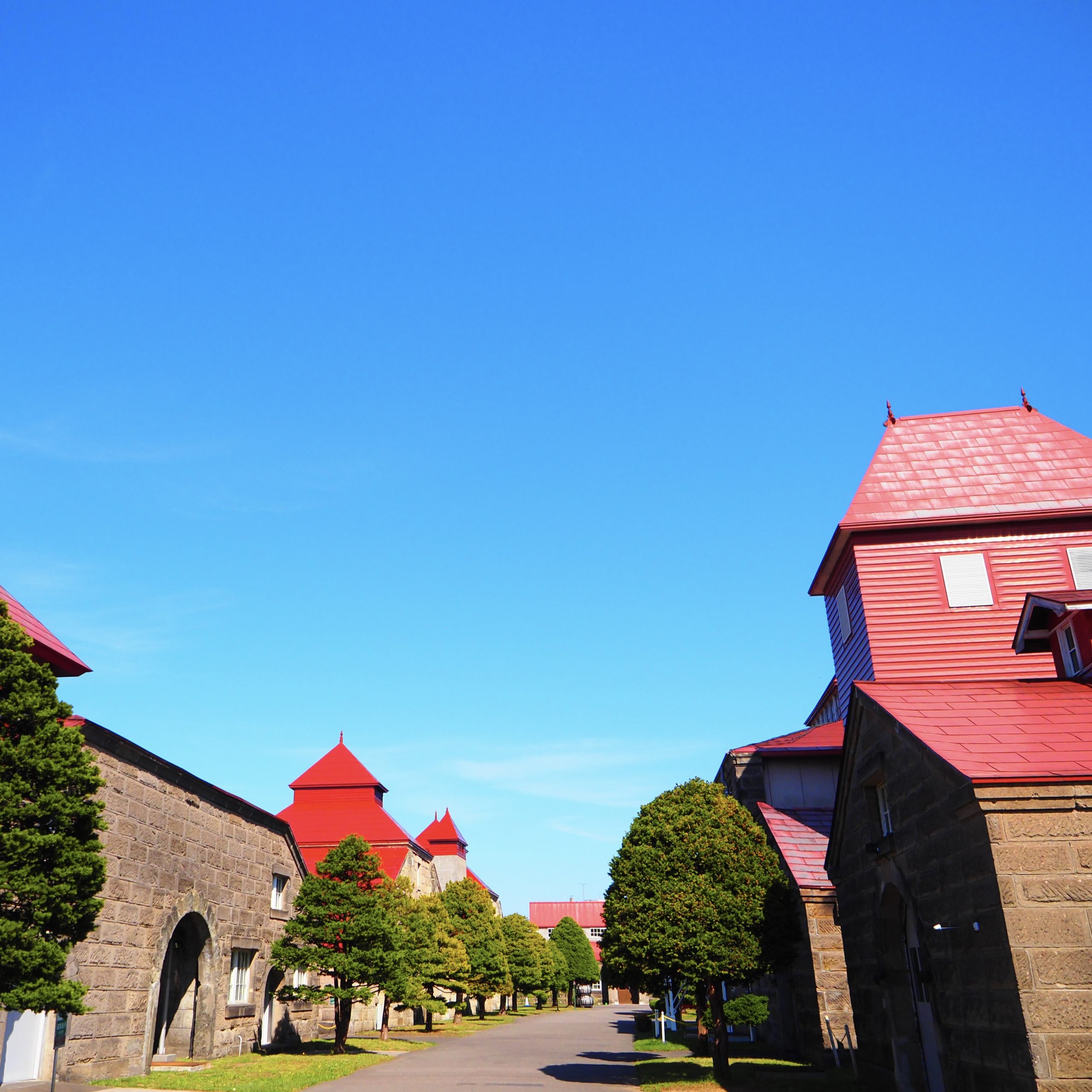 2022-10-02 – 北海道を元気に！